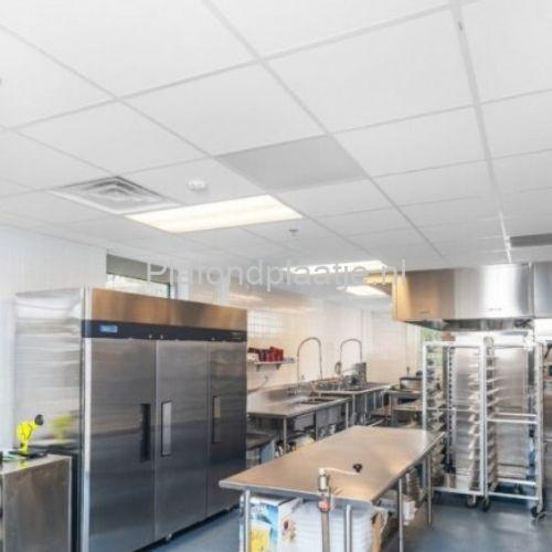 Rockfon Hydroclean – 600 x 600 mm – plafondplaatje.nl